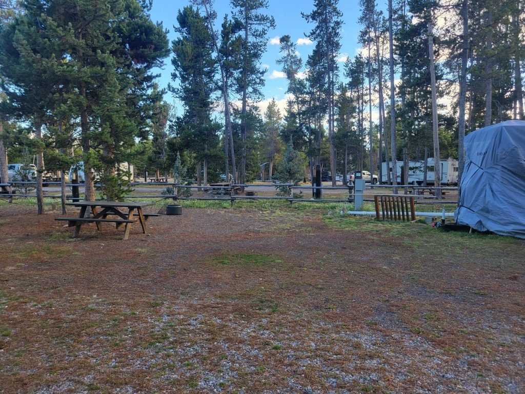 Full Hook Up RV Campsite F21 - Madison Arm Resort