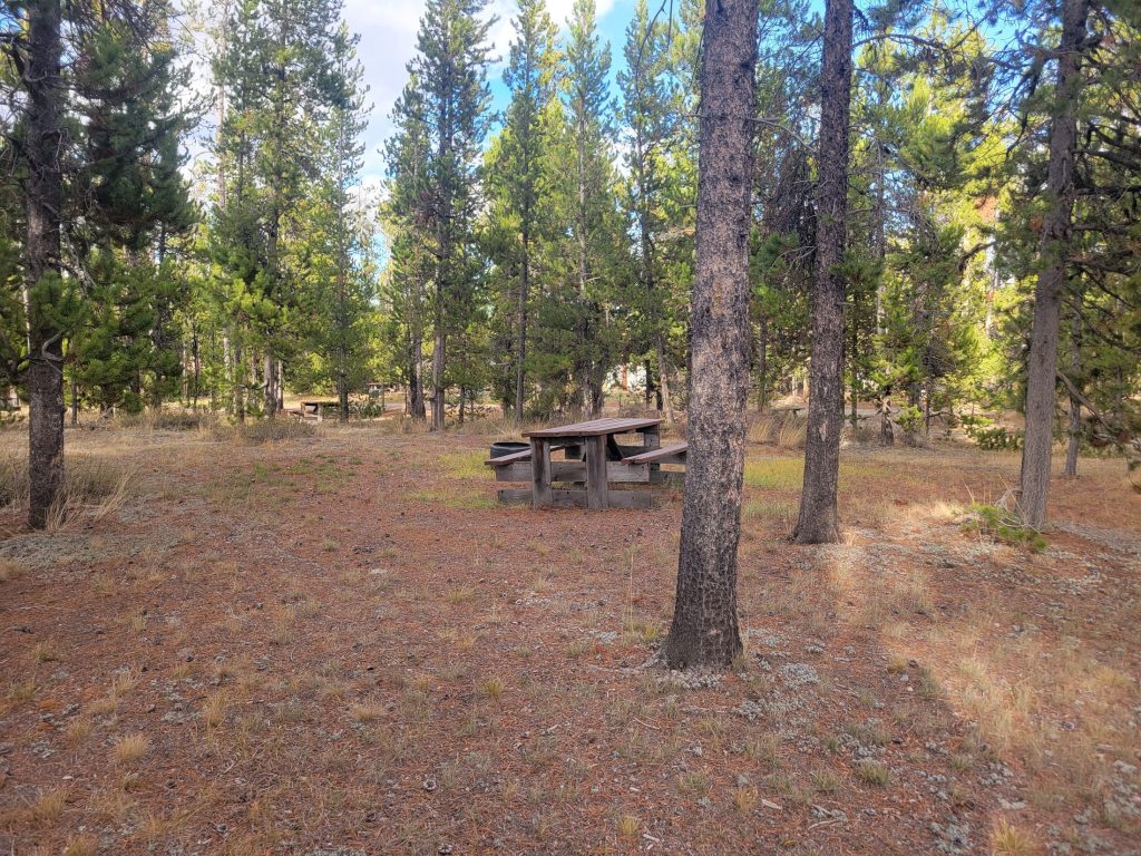 Hillside Forest Campsite O20 - Madison Arm Resort