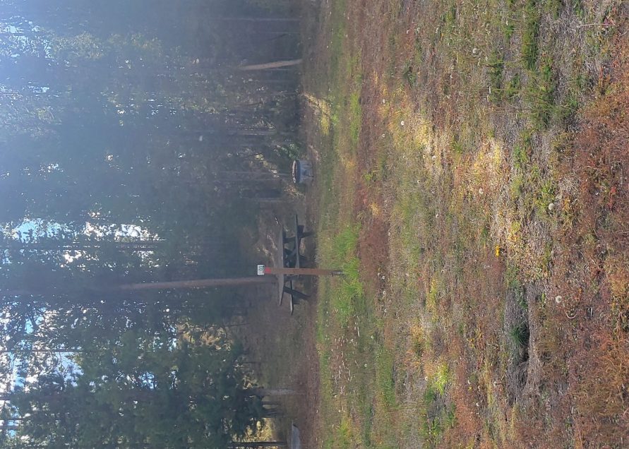 Overflow Field Campsite O5 - Madison Arm Resort