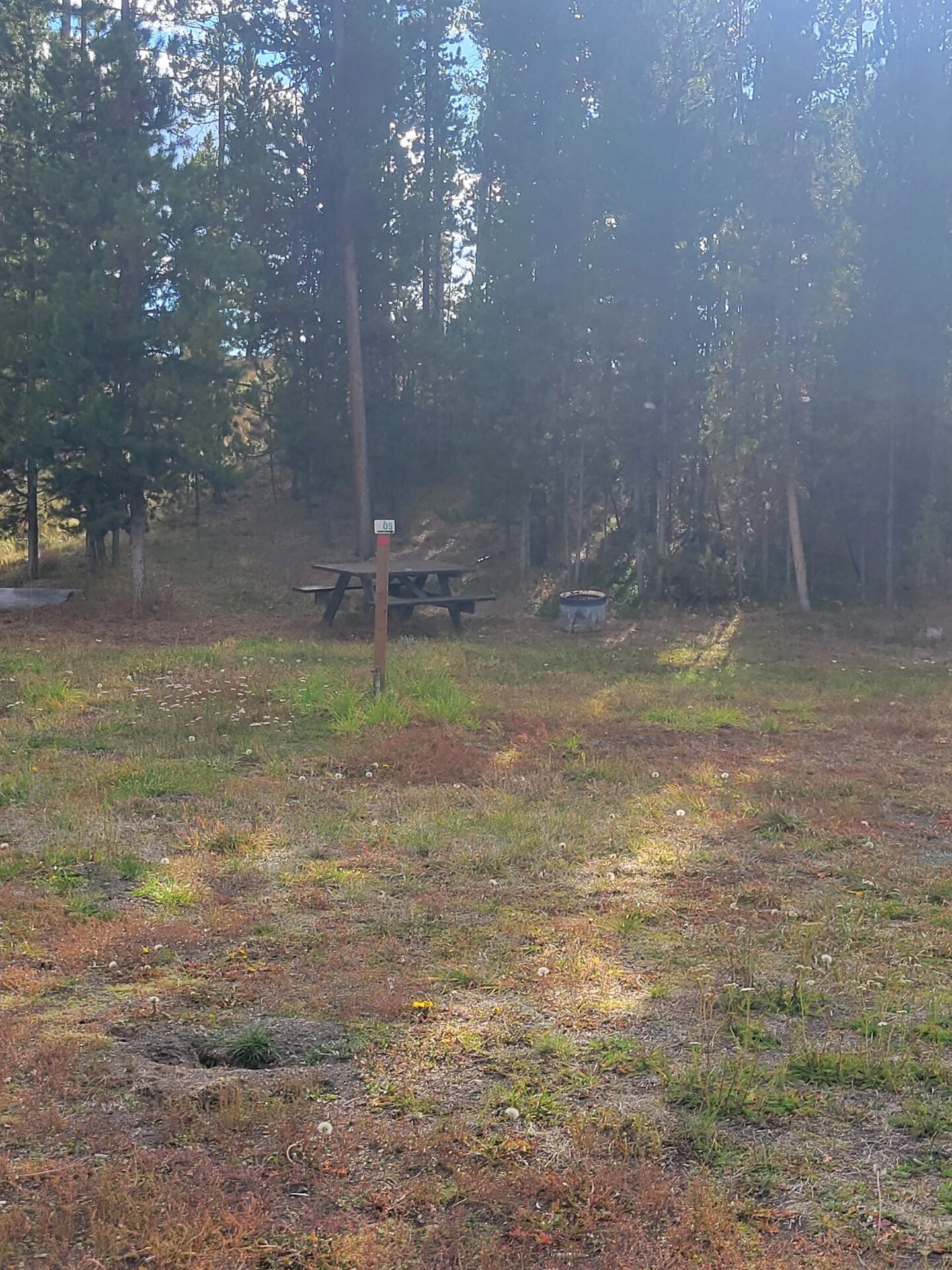 Overflow Field Campsite O5 - Madison Arm Resort