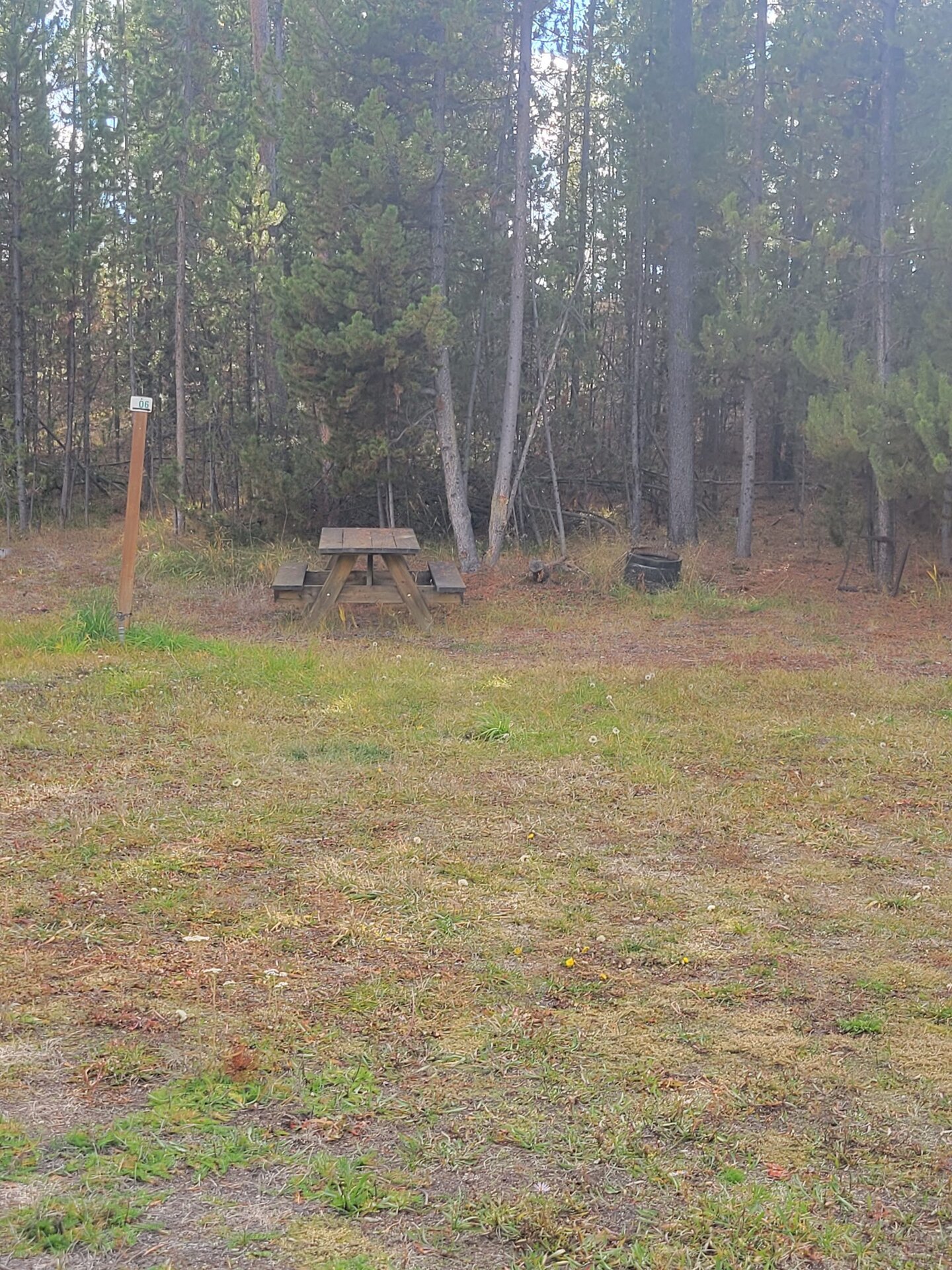 Overflow Field Campsite O6 - Madison Arm Resort