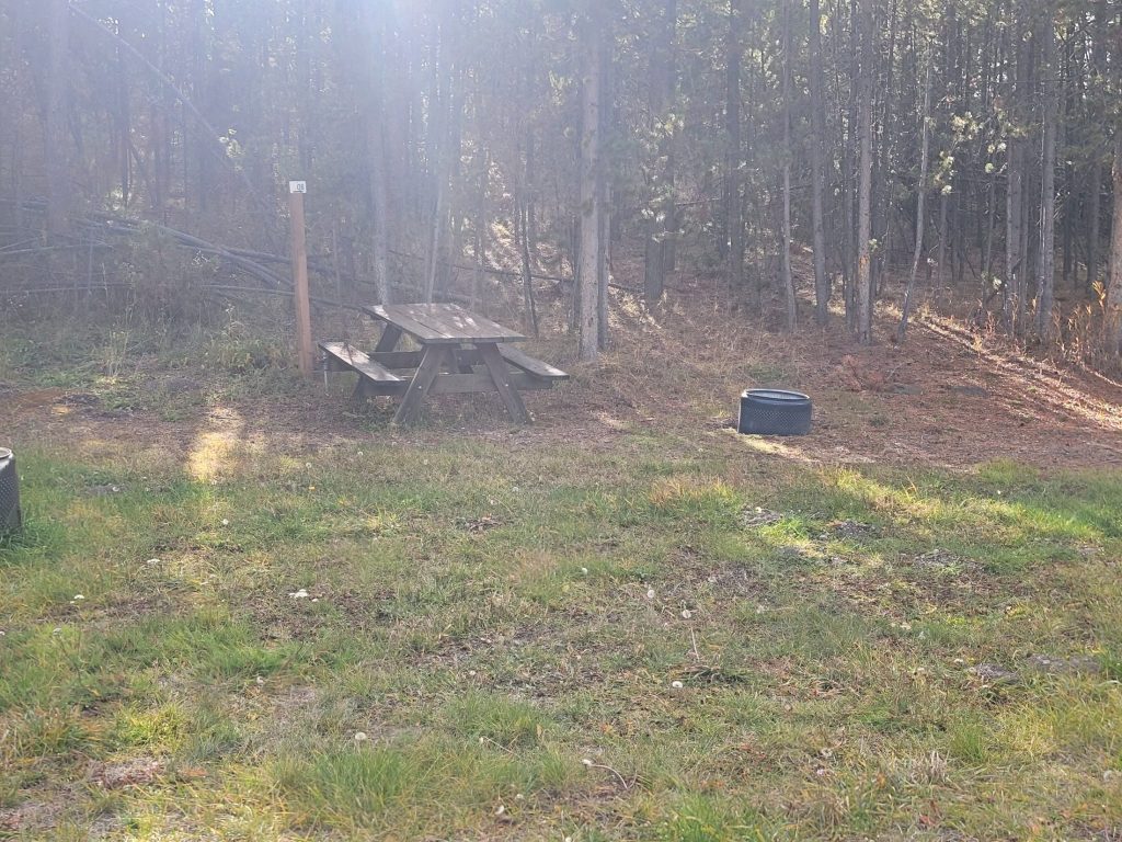 Overflow Field Campsite O8 - Madison Arm Resort
