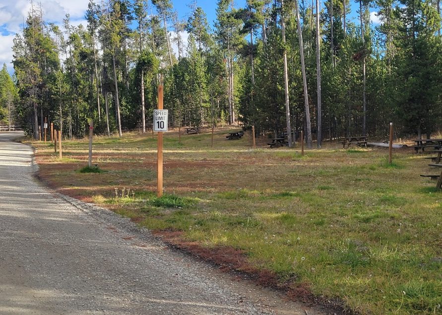 Overflow Field Campsite O4 - Madison Arm Resort