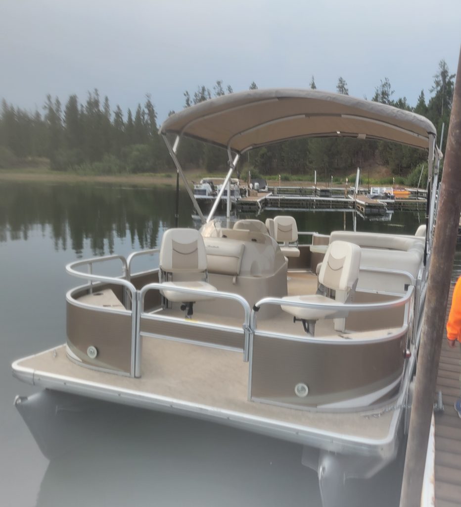 20′ Godfrey Sweetwater Pontoon Boat Half Day PM Rental ($312 Half Day ...